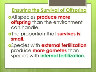 Unit 5 animal reproduction and development | PPTX