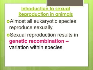 Unit 5 animal reproduction and development | PPTX