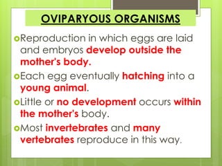 Unit 5 animal reproduction and development | PPTX
