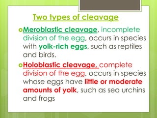 Unit 5 animal reproduction and development | PPT