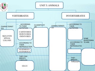Unit 5 animals | PPTX