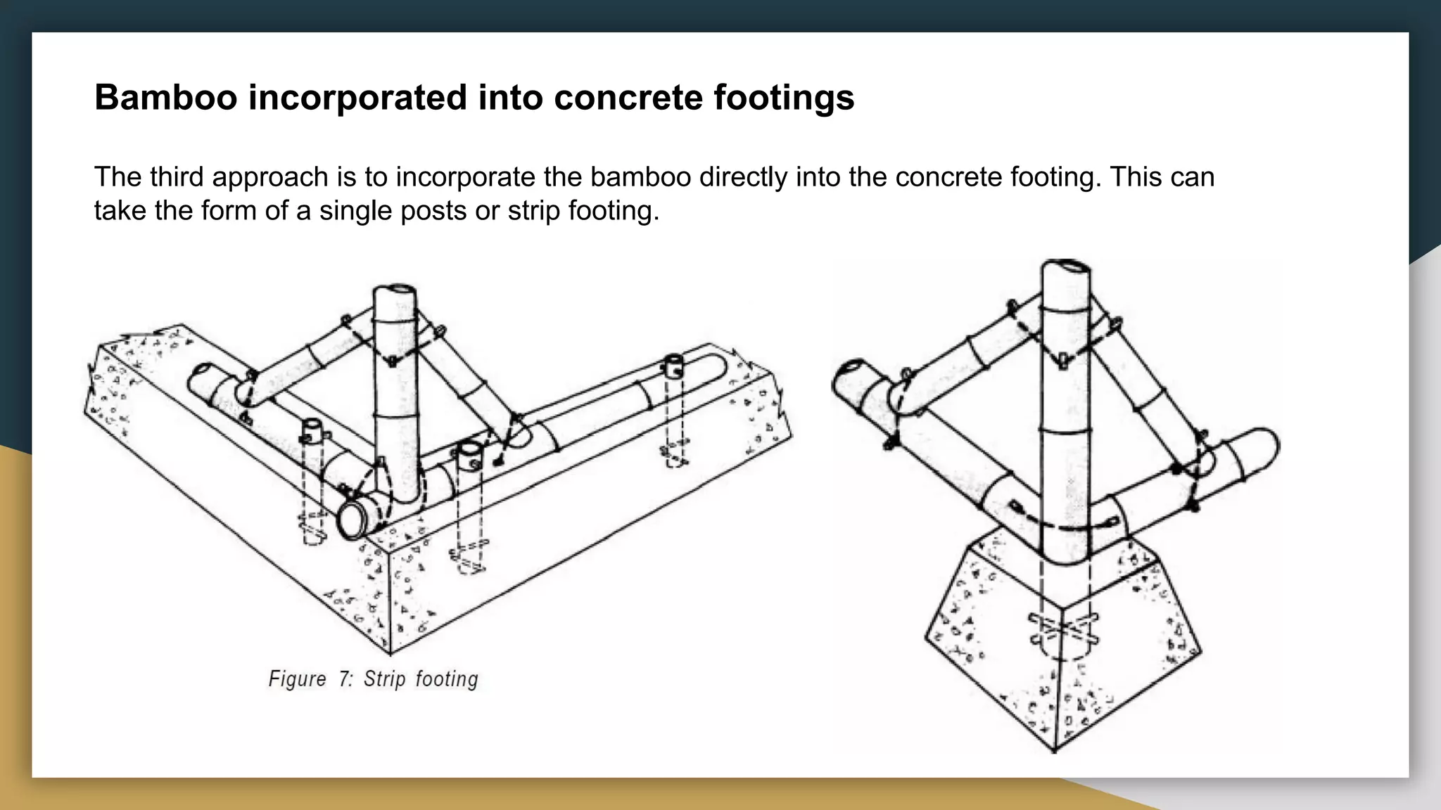 unit 5 Bamboo.pdf