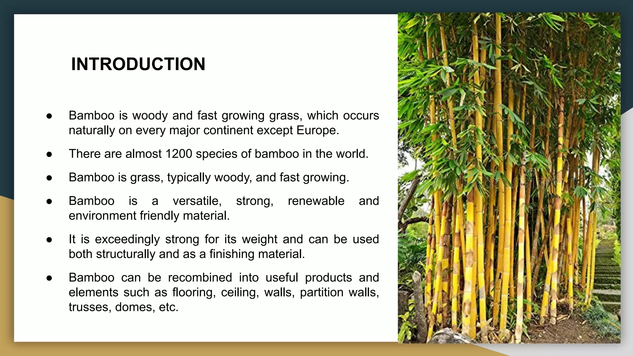 unit 5 Bamboo.pdf
