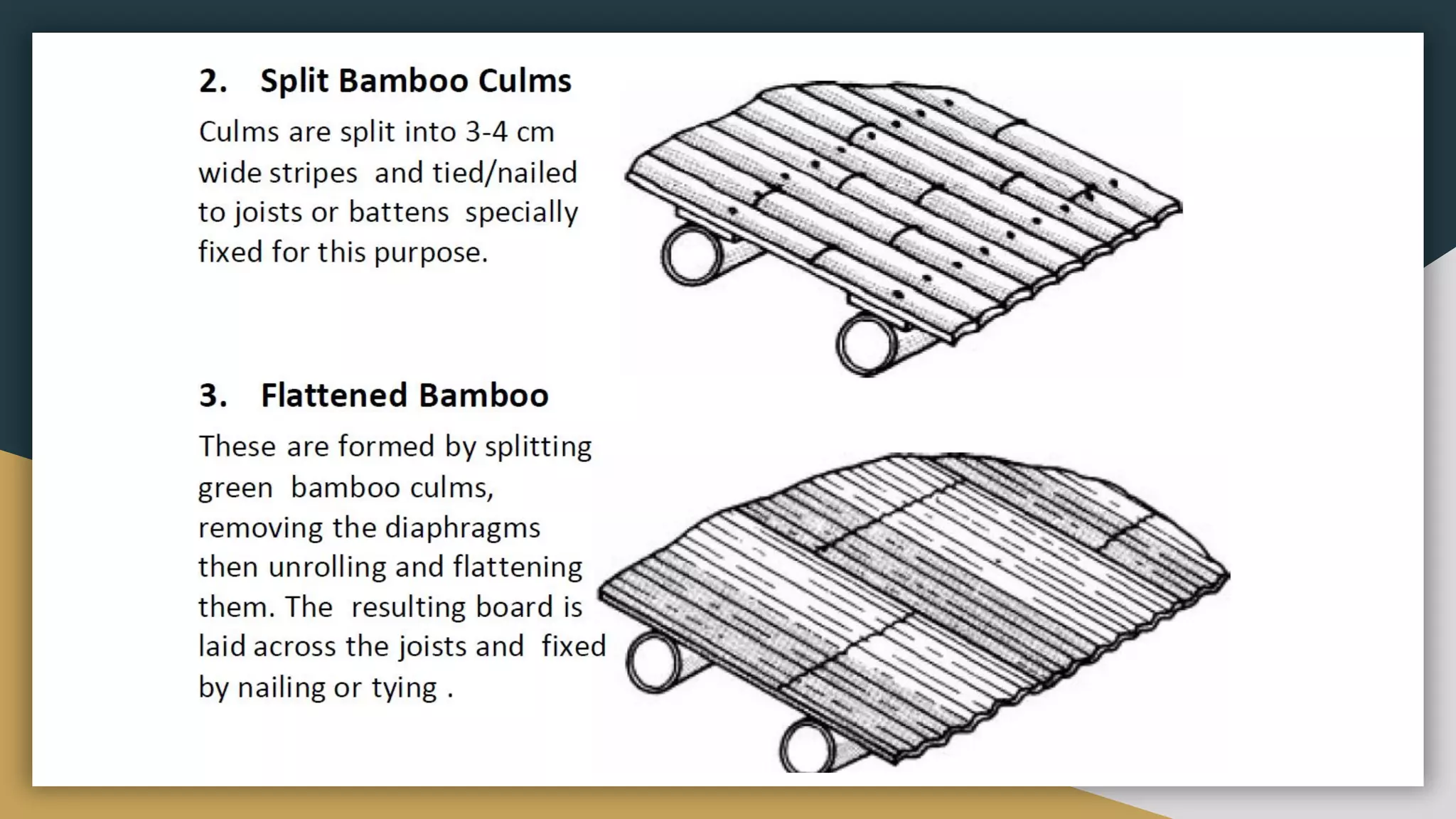 unit 5 Bamboo.pdf