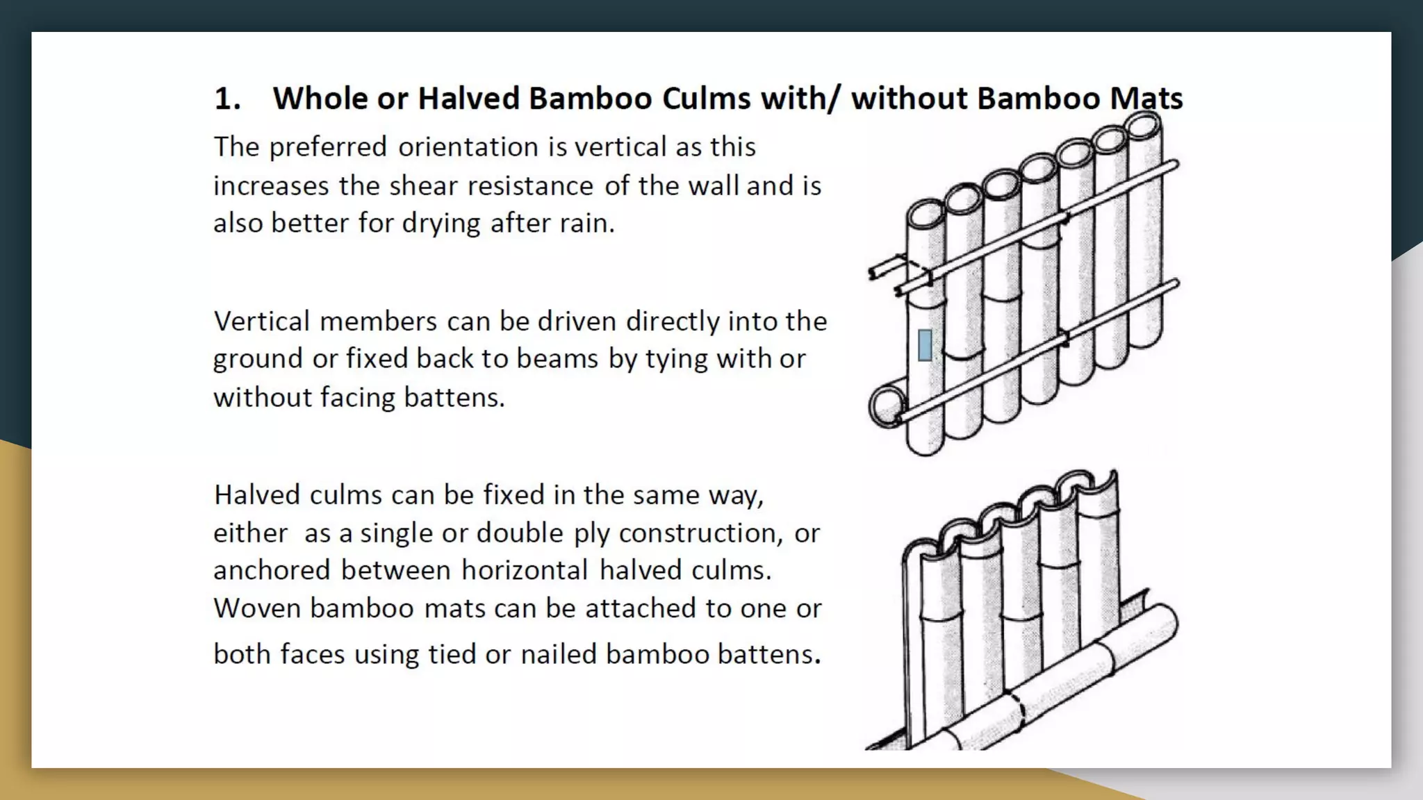 unit 5 Bamboo.pdf