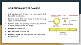 unit 5 Bamboo.pdf