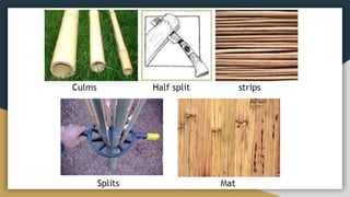 unit 5 Bamboo.pdf