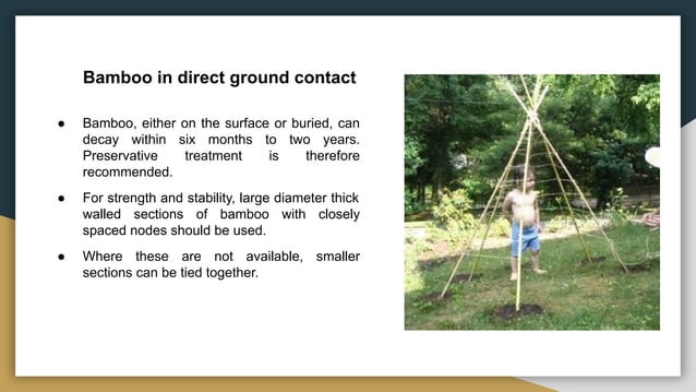 unit 5 Bamboo.pdf