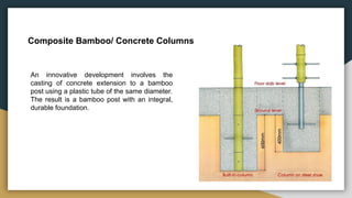 unit 5 Bamboo.pdf