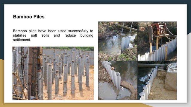 unit 5 Bamboo.pdf