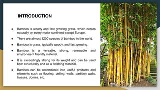 unit 5 Bamboo.pdf