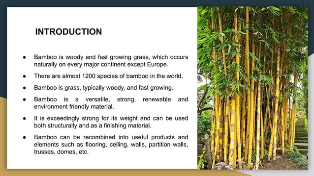 unit 5 Bamboo.pdf
