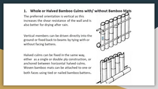 unit 5 Bamboo.pdf