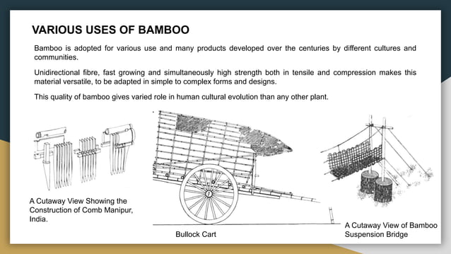 unit 5 Bamboo.pdf