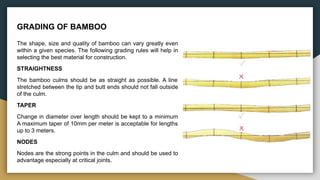 unit 5 Bamboo.pdf