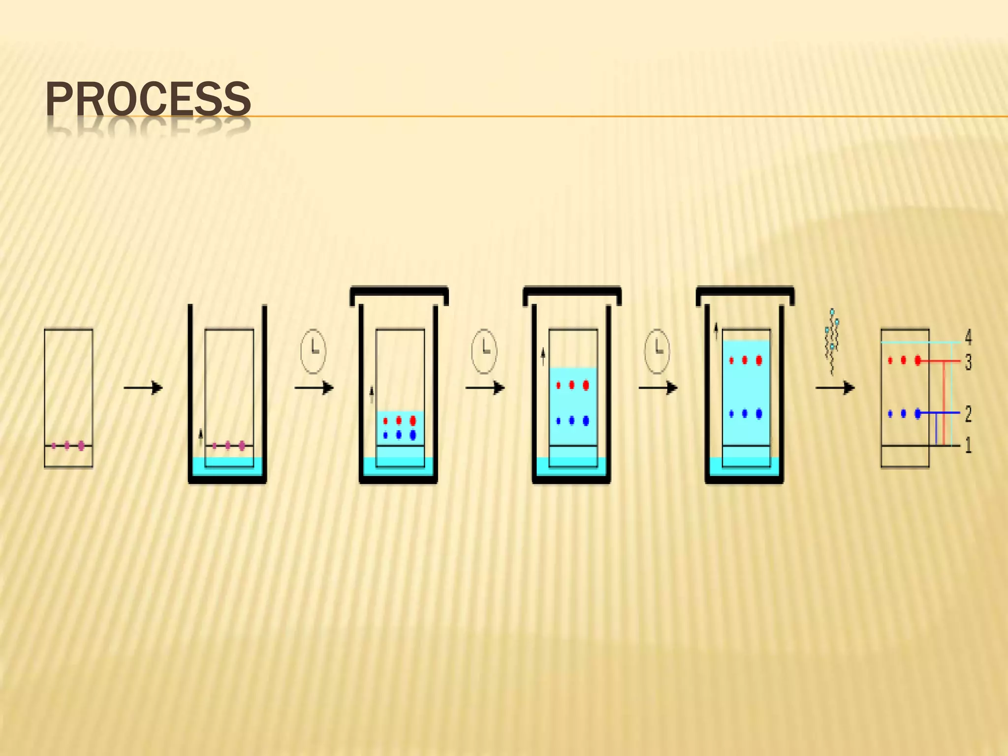 Basics of Phytochemistry | PPTX