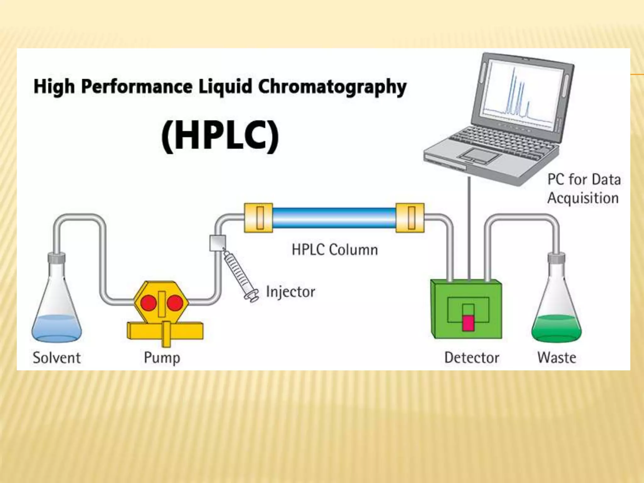 Basics of Phytochemistry | PPTX