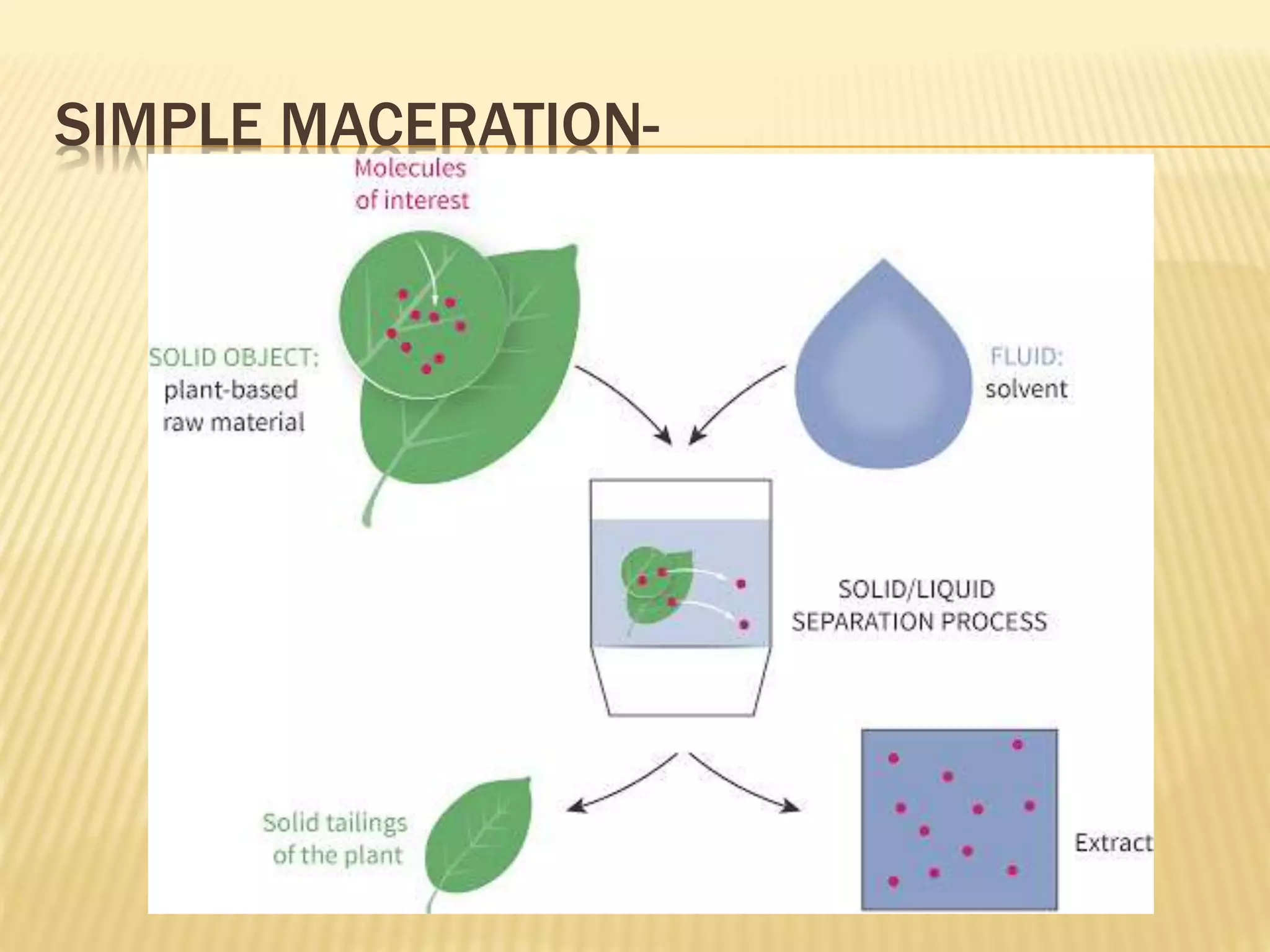 Basics of Phytochemistry | PPTX