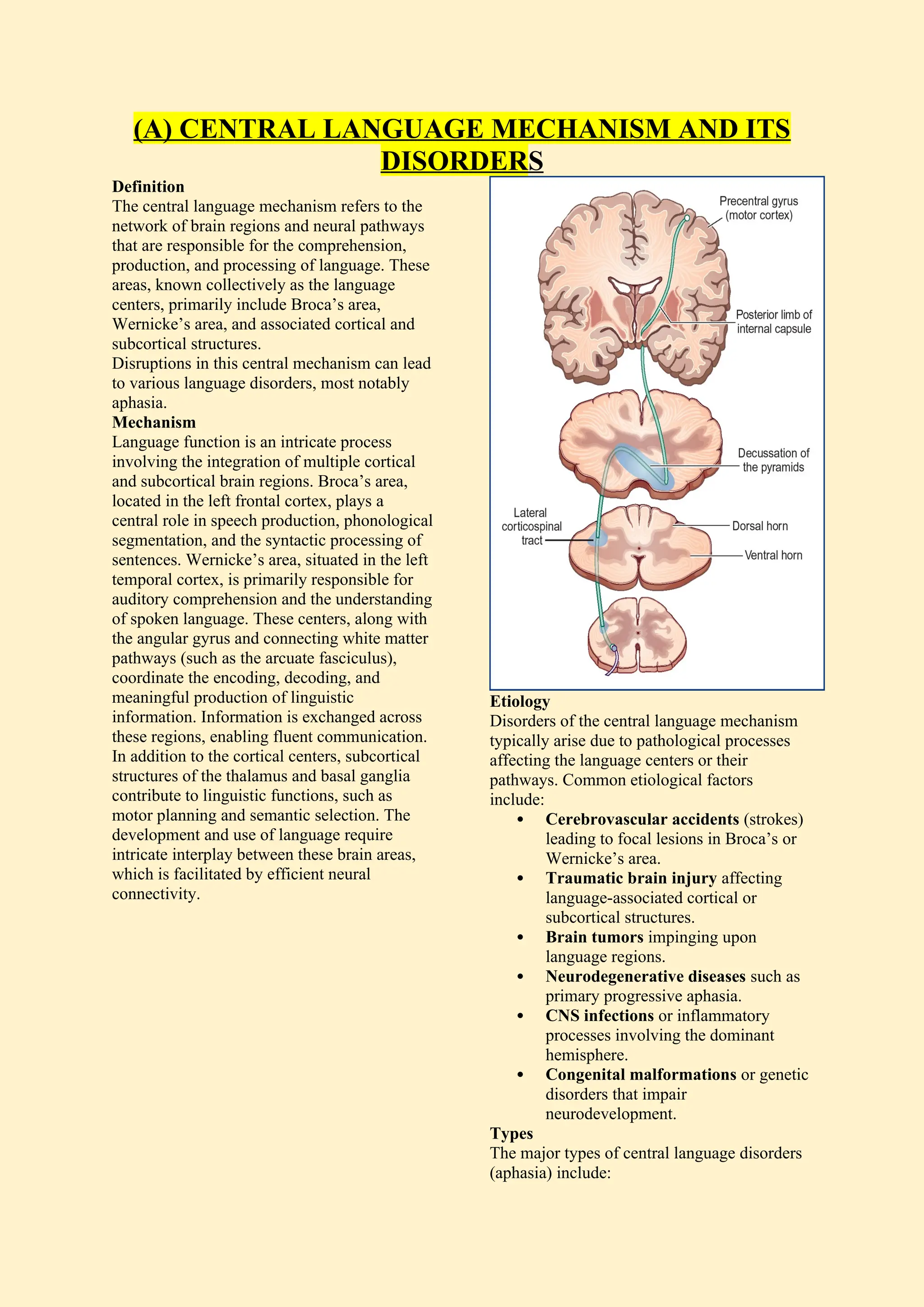 Unit 5: Speech-language and swallowing disorders | DOCX