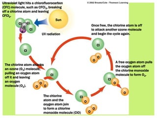 Unit 5 b ch 13 s2 the ozone shield | PPTX