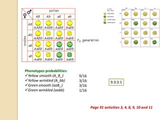 Unit5: Biological Inheritance | PPTX