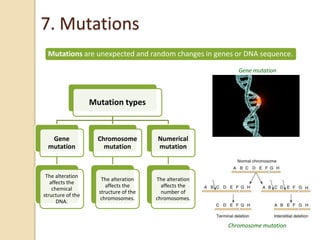 Unit5: Biological Inheritance | PPTX