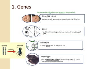 Unit5: Biological Inheritance | PPTX