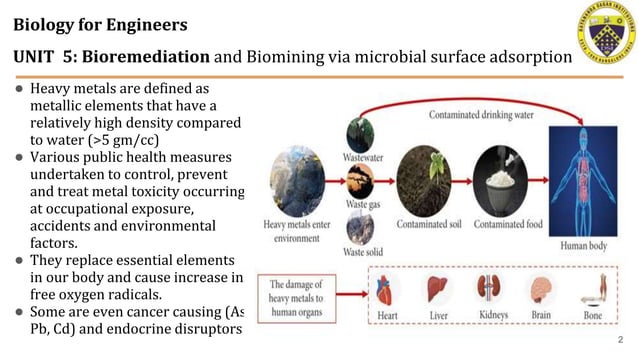 UNIT 5 BRK.pptx | Chemistry | Science