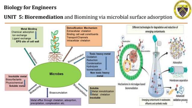 UNIT 5 BRK.pptx | Chemistry | Science