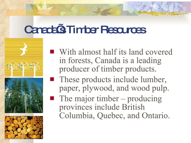 Unit 5 Canada Environmental Issues 3 | PPT
