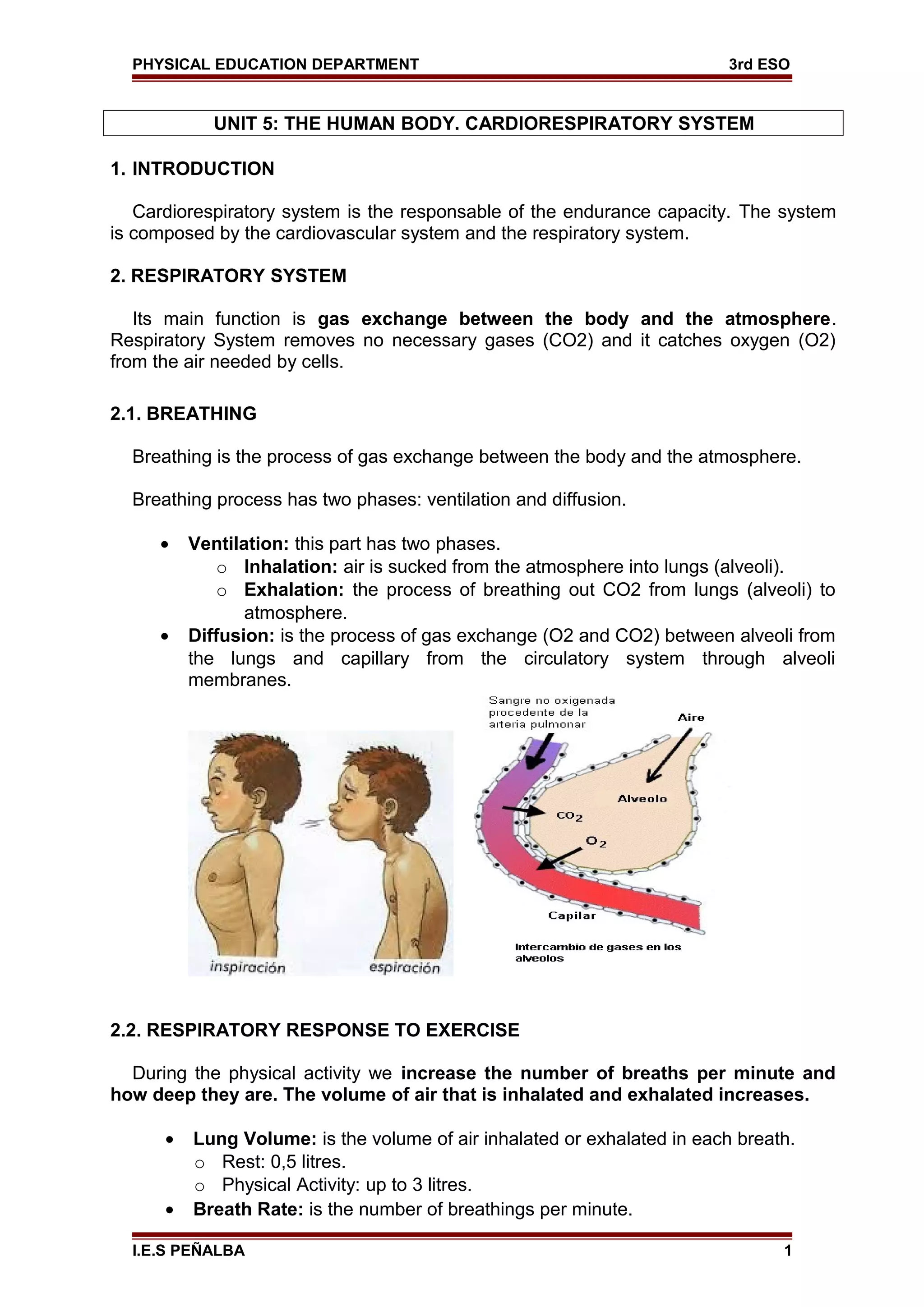 Unit 5 cardiorespiratory system | DOC | Heart and Cardiovascular ...