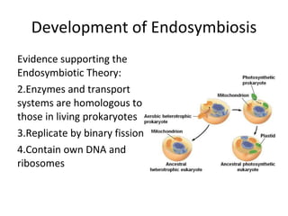Endosymbiotic Theory Short Lecture | PPT