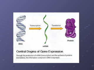 Biology Notes-High School- Advanced Biology | PPT