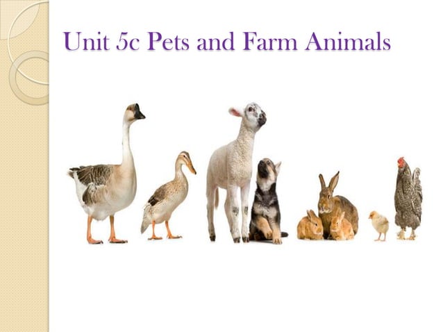 Unit 5c pets and farm animals | PPTX