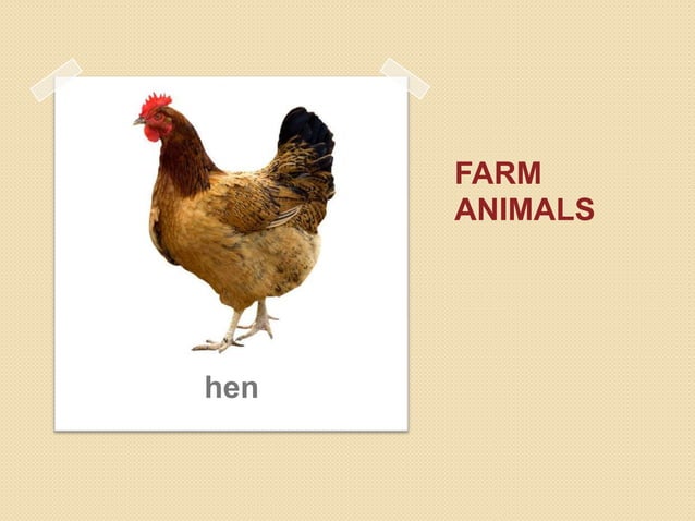 Unit 5c pets and farm animals | PPTX