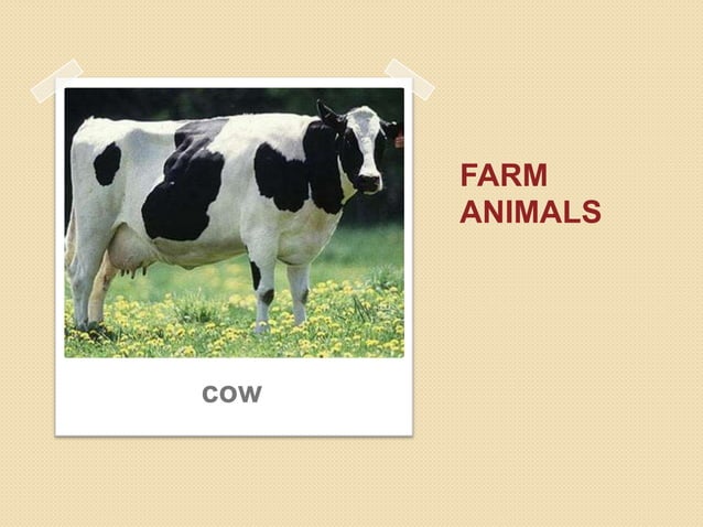 Unit 5c pets and farm animals | PPTX