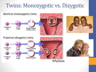 Unit5developmentalpsychologypowerpoint 140506093305-phpapp01 | PPT