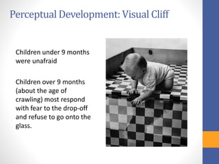 Unit5developmentalpsychologypowerpoint 140506093305-phpapp01 | PPT