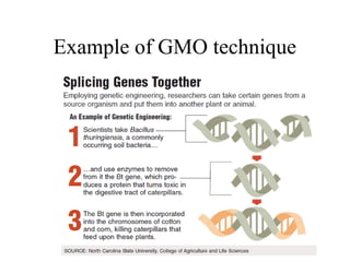 Grade 10 Science - Biology Unit 5 DNA and RNA.ppt