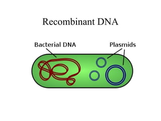 Grade 10 Science - Biology Unit 5 DNA and RNA.ppt