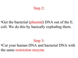 Grade 10 Science - Biology Unit 5 DNA and RNA.ppt
