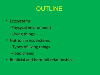 Unit 5 Ecosystems | PPT