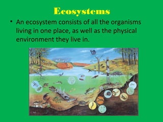 Unit 5 Ecosystems | PPT