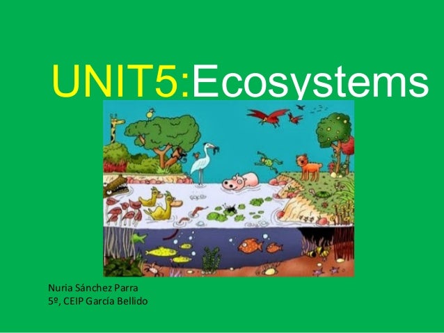 Unit 5 Ecosystems