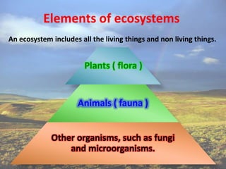 Unit 5 ecosystems | PPTX