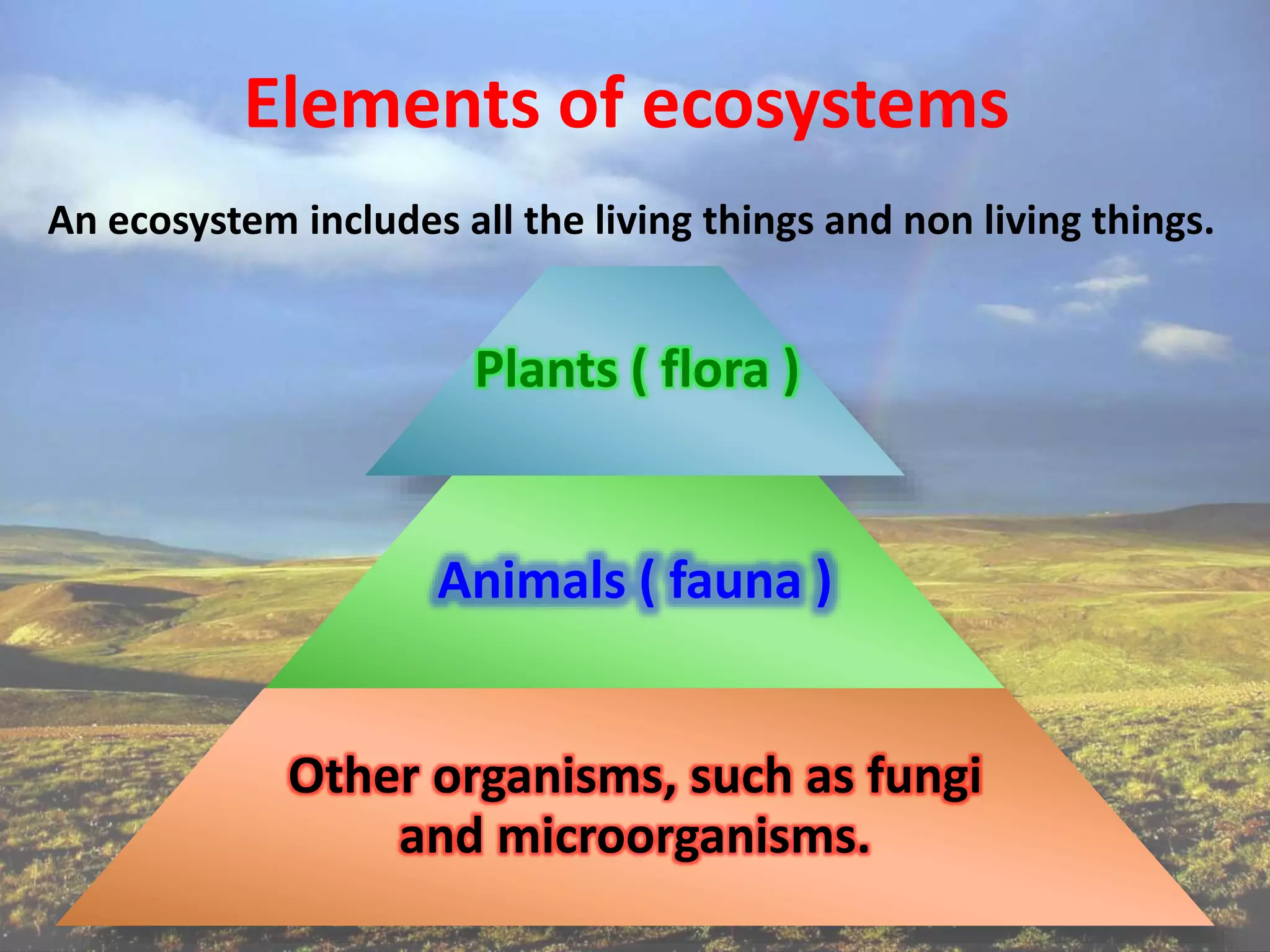 Unit 5 ecosystems | PPTX