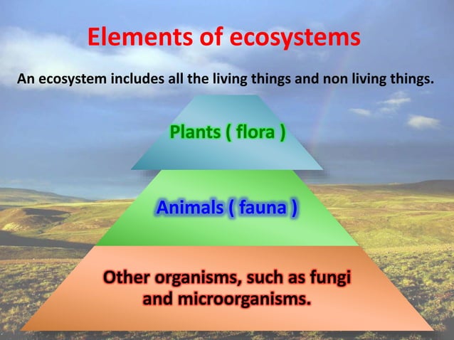 Unit 5 ecosystems | PPTX