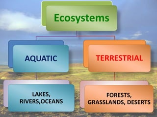 Unit 5 ecosystems | PPTX