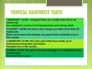 Unit 5 ecosystems Lucia y Nayara | PPT