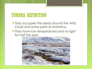 Unit 5 ecosystems Lucia y Nayara | PPT